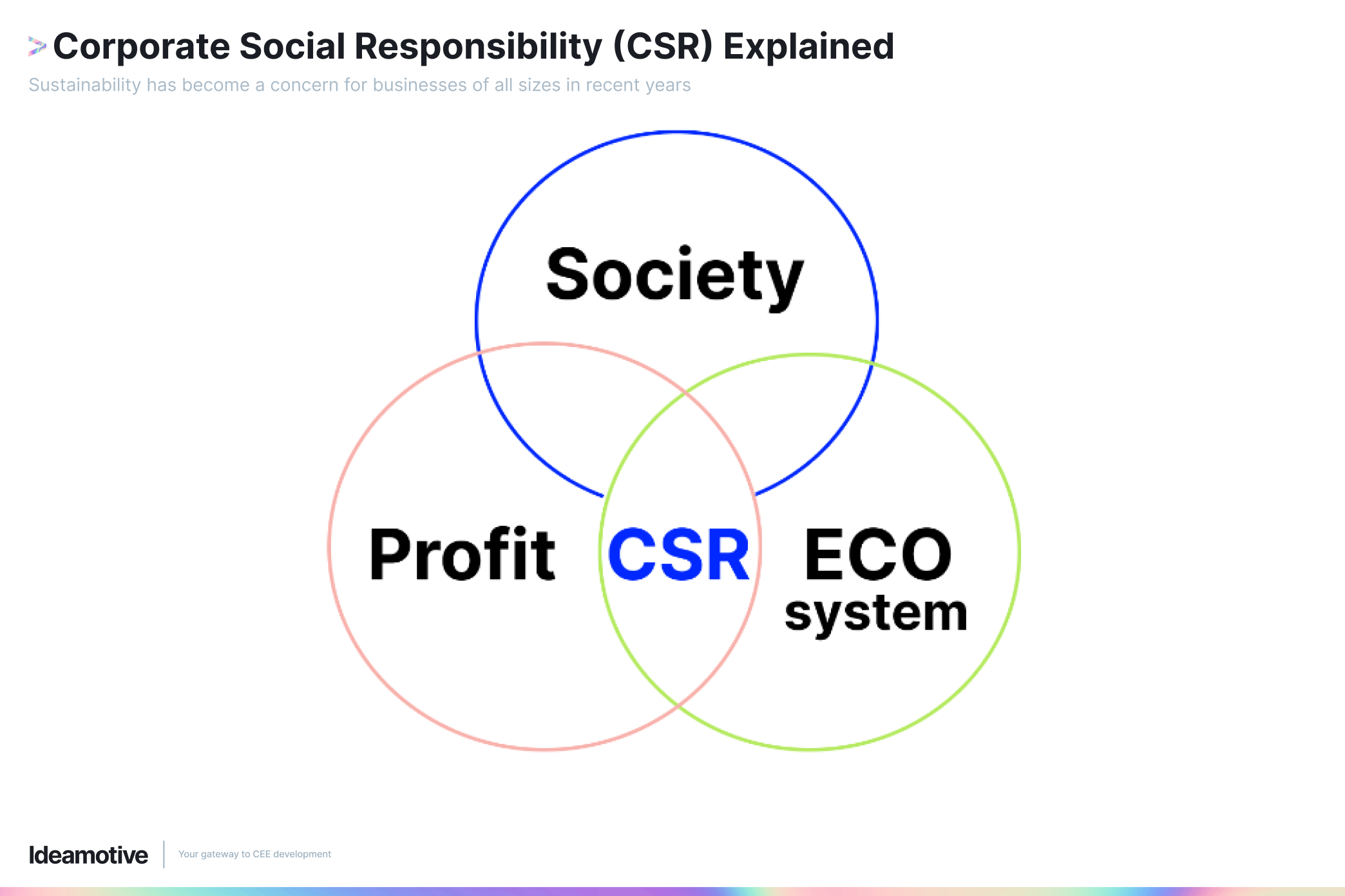 Going Beyond CSR: Leveraging Blockchain to Support Sustainable Business Practices